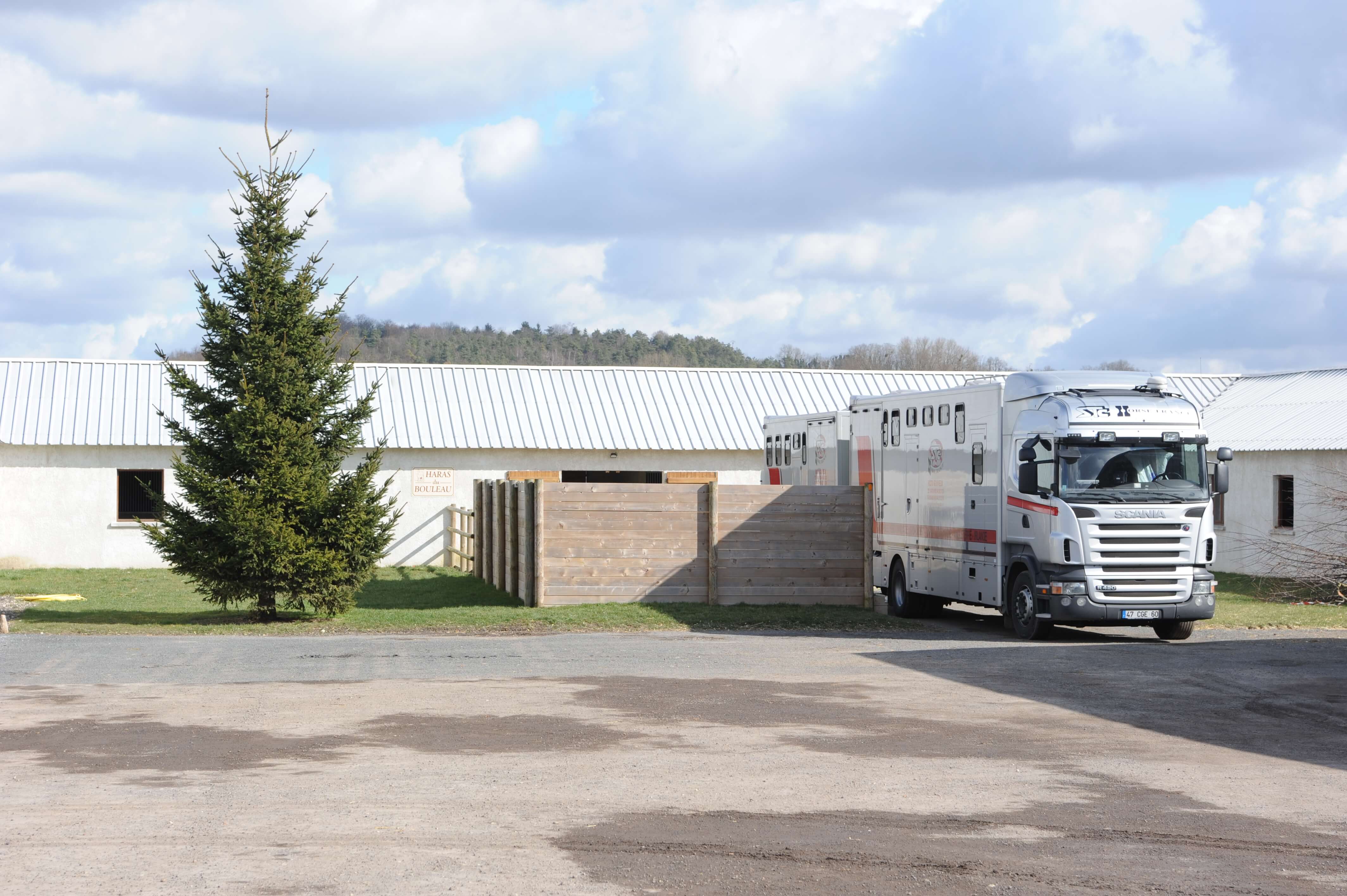 STC Horse France : Mentions légales